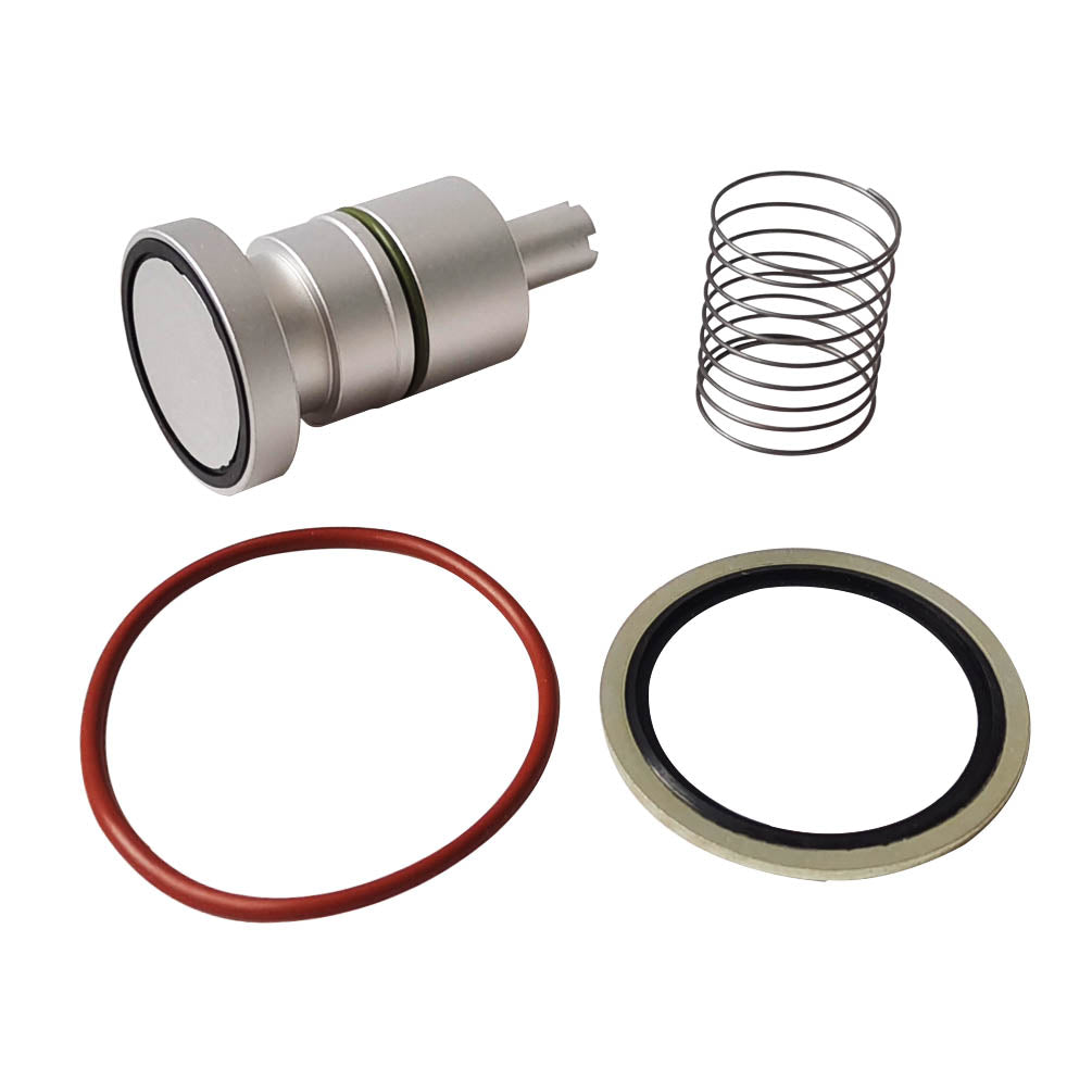 Minimum Pressure Valve Repair Kit 16220522201 1622052301 1622907880 for ...