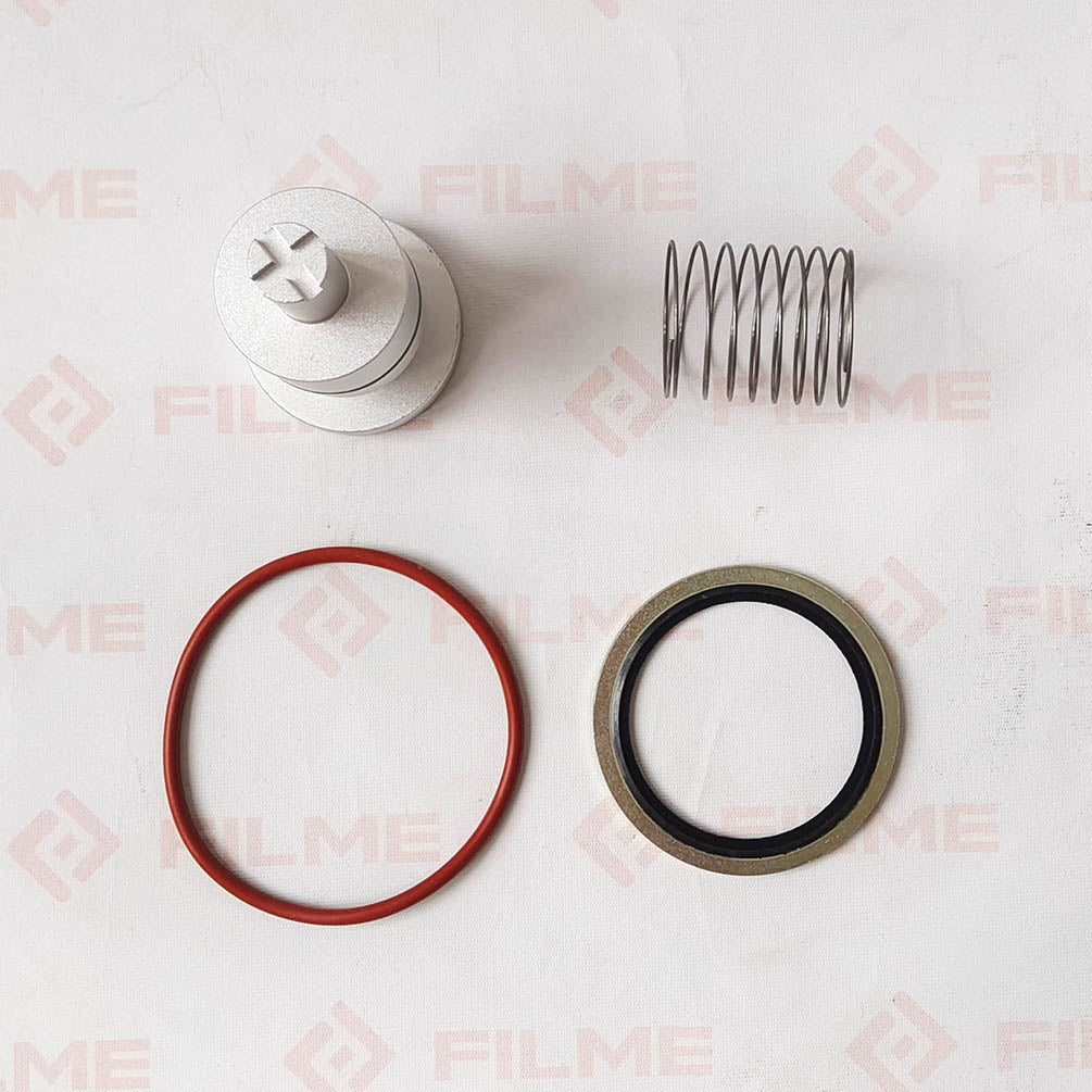 Minimum Pressure Valve Repair Kit 16220522201 1622052301 1622907880 for ...